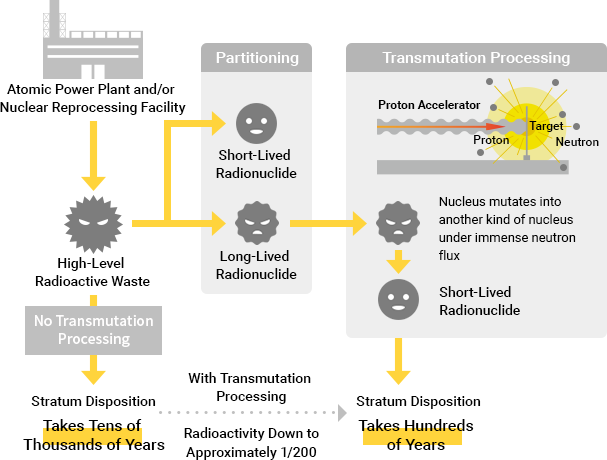 About advanced accelerator｜Advanced Accelerator Association